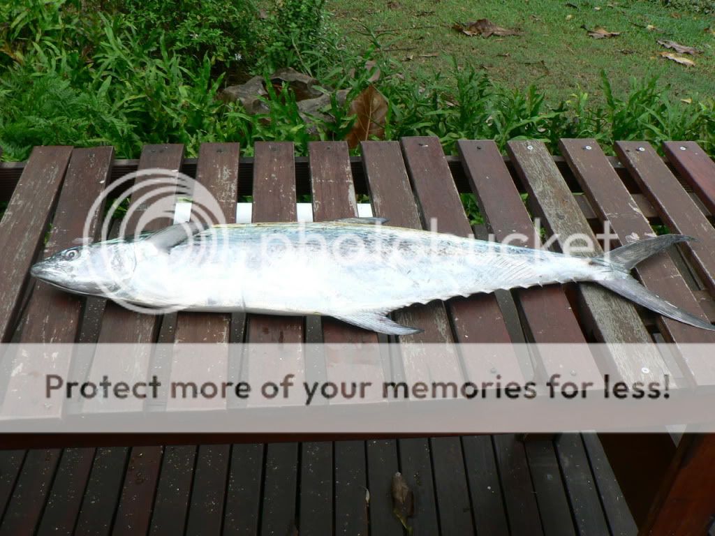 Can't wait for next week-end - hunting Natal Snoek with the expert