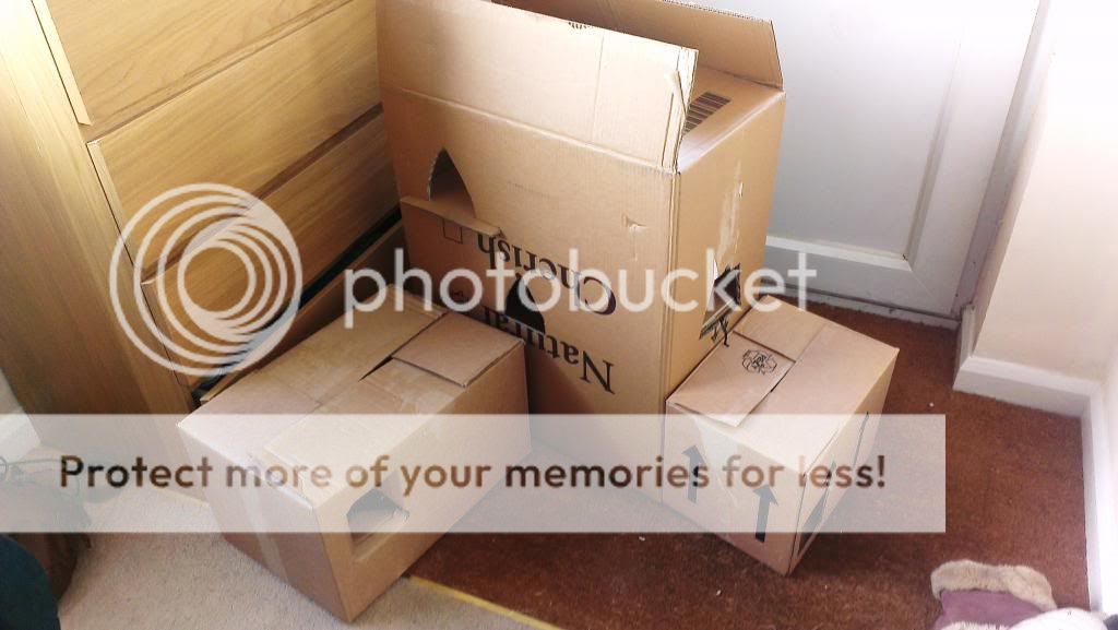 Cardboard castle completed! | Rabbits United