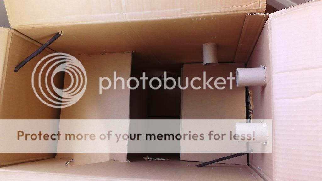 Cardboard castle completed! | Rabbits United